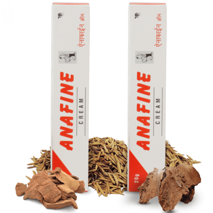 Ayurvedic Medicine - Piles & Fissure, piles treatment